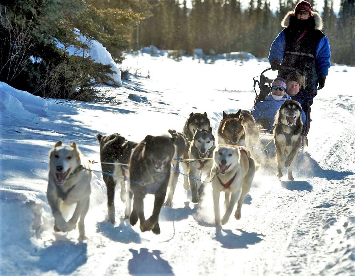 The True Tale of Togo - Paul McHugh