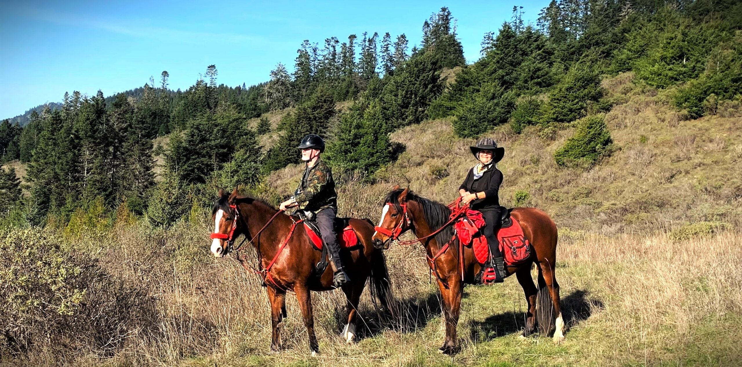 A Horse Tale – Riding A Real Rebel - Paul McHugh
